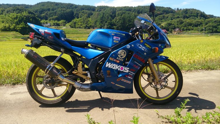 ns1 cbr仕様 今までの総集編日記 一応完成編